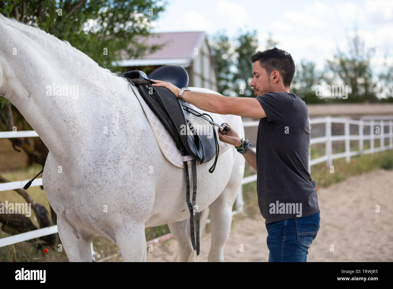 Side view of young guy putting black saddle on back of white horse ...