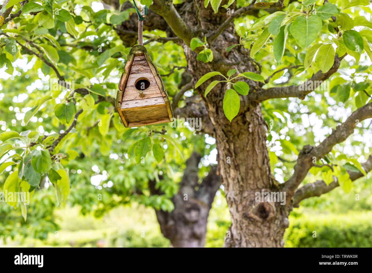 House of the apple tree hi-res stock photography and images - Alamy