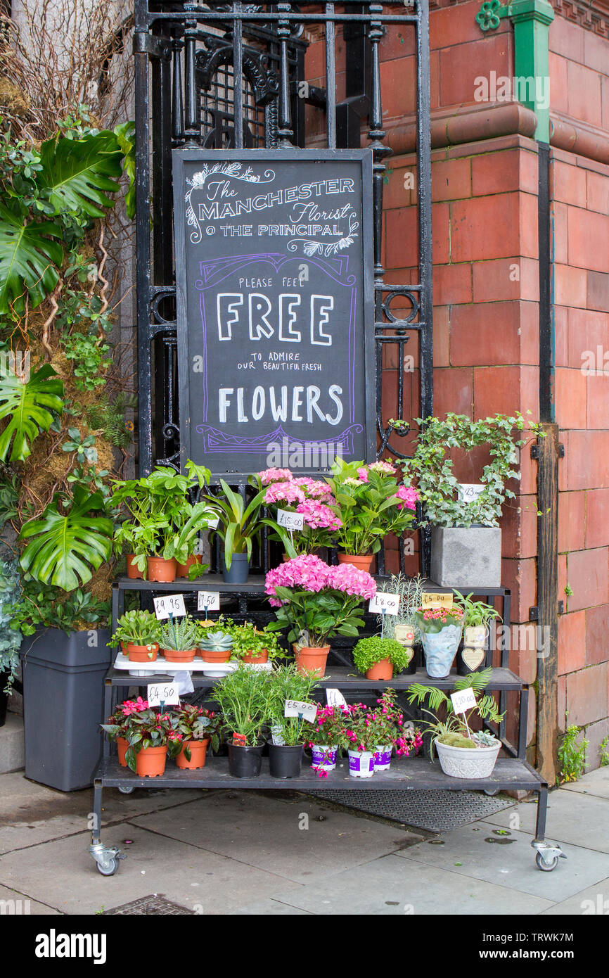 Outdoor florist hi-res stock photography and images - Alamy