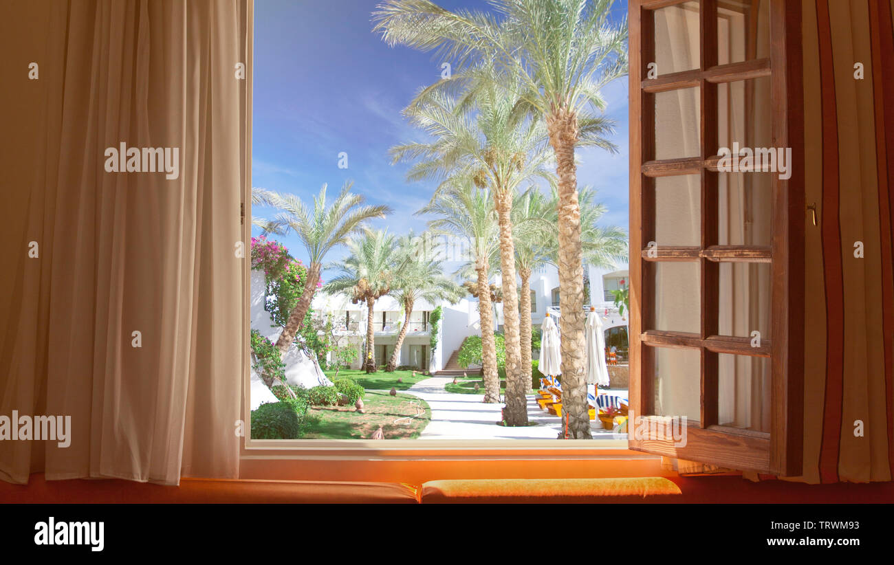 empty tropical resort background, out of window view with palm trees ...