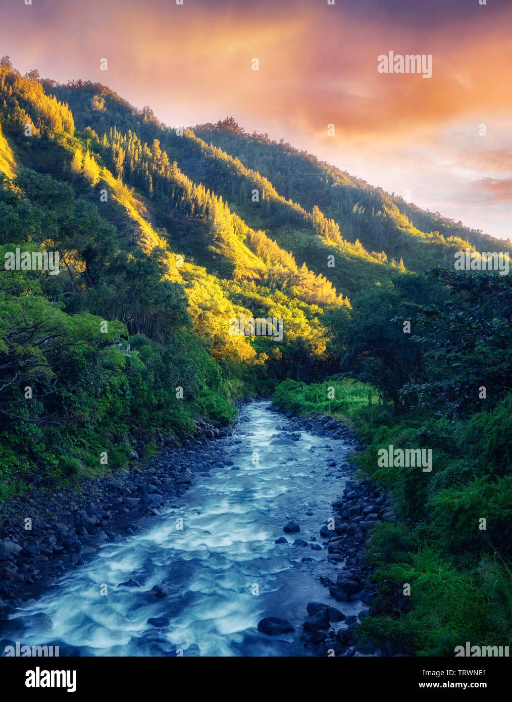 Iao Stream with first light of day. Mauai, Hawaii Stock Photo - Alamy