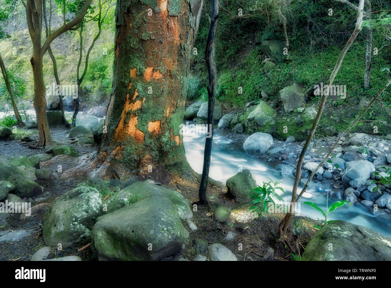 Iao river hi-res stock photography and images - Alamy