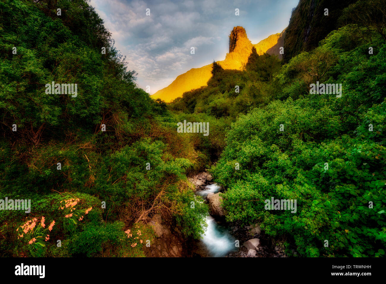 Iao valley state park hi-res stock photography and images - Alamy