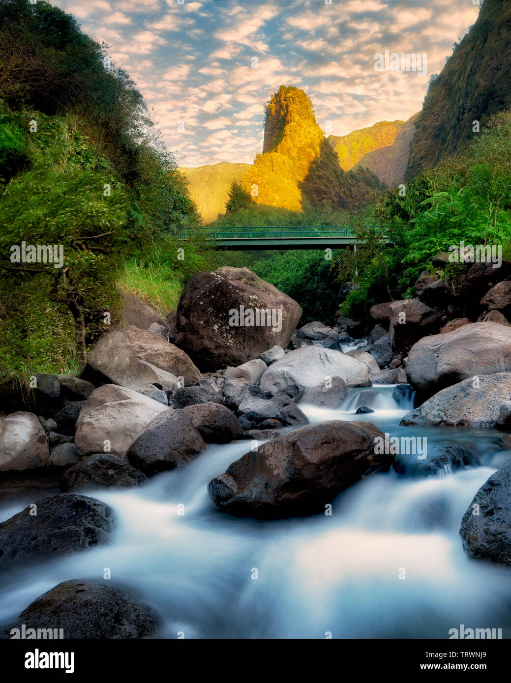 Iao Valley State Park Stock Photos & Iao Valley State Park Stock Images ...