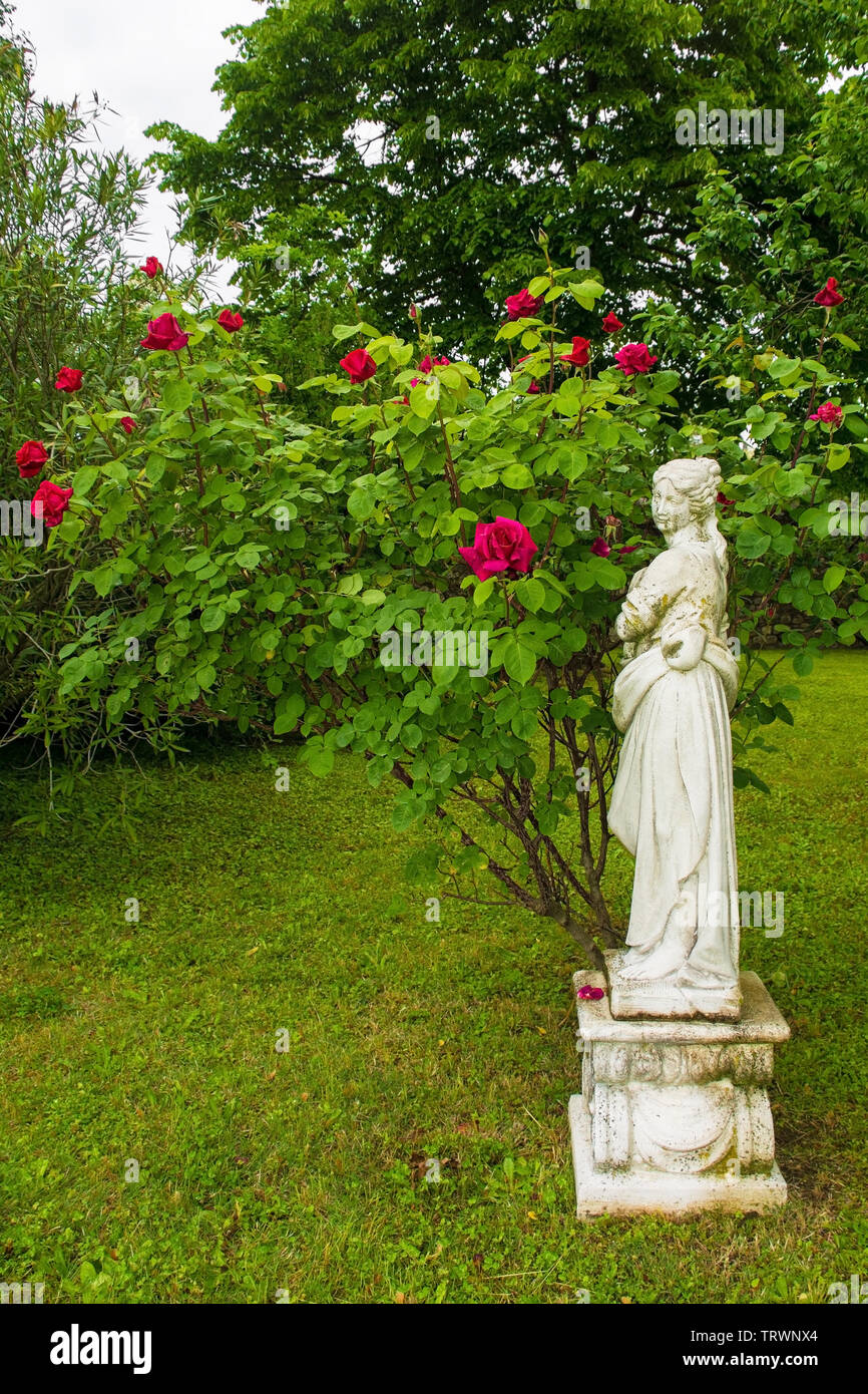 Italian rose garden hi-res stock photography and images - Alamy