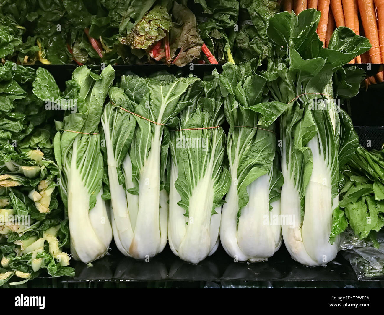 Bok Choy Leaf High Resolution Stock Photography and Images - Alamy