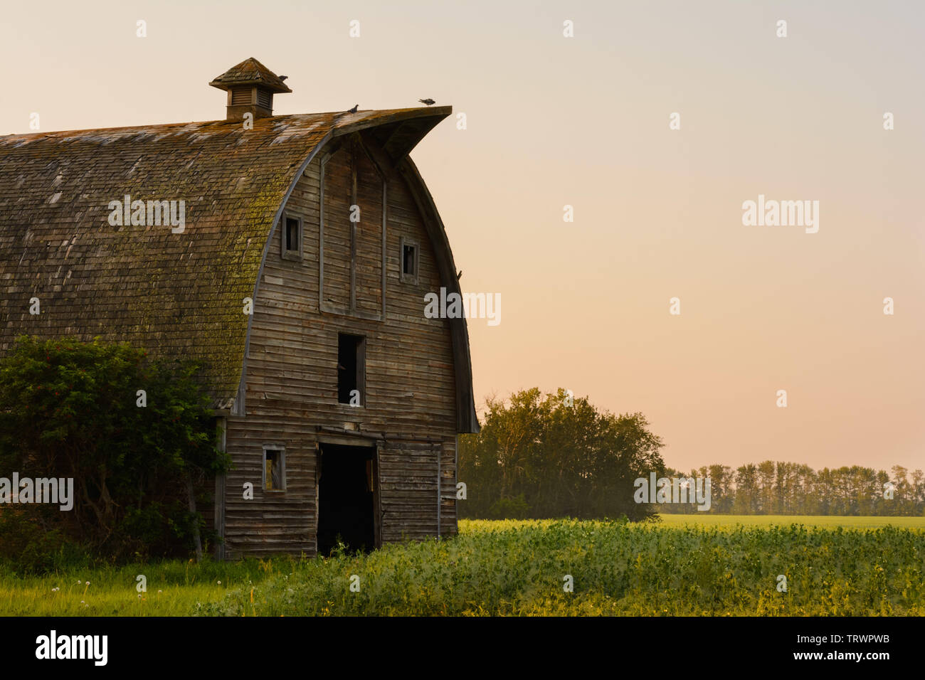 Barn in the fields Stock Photo - Alamy