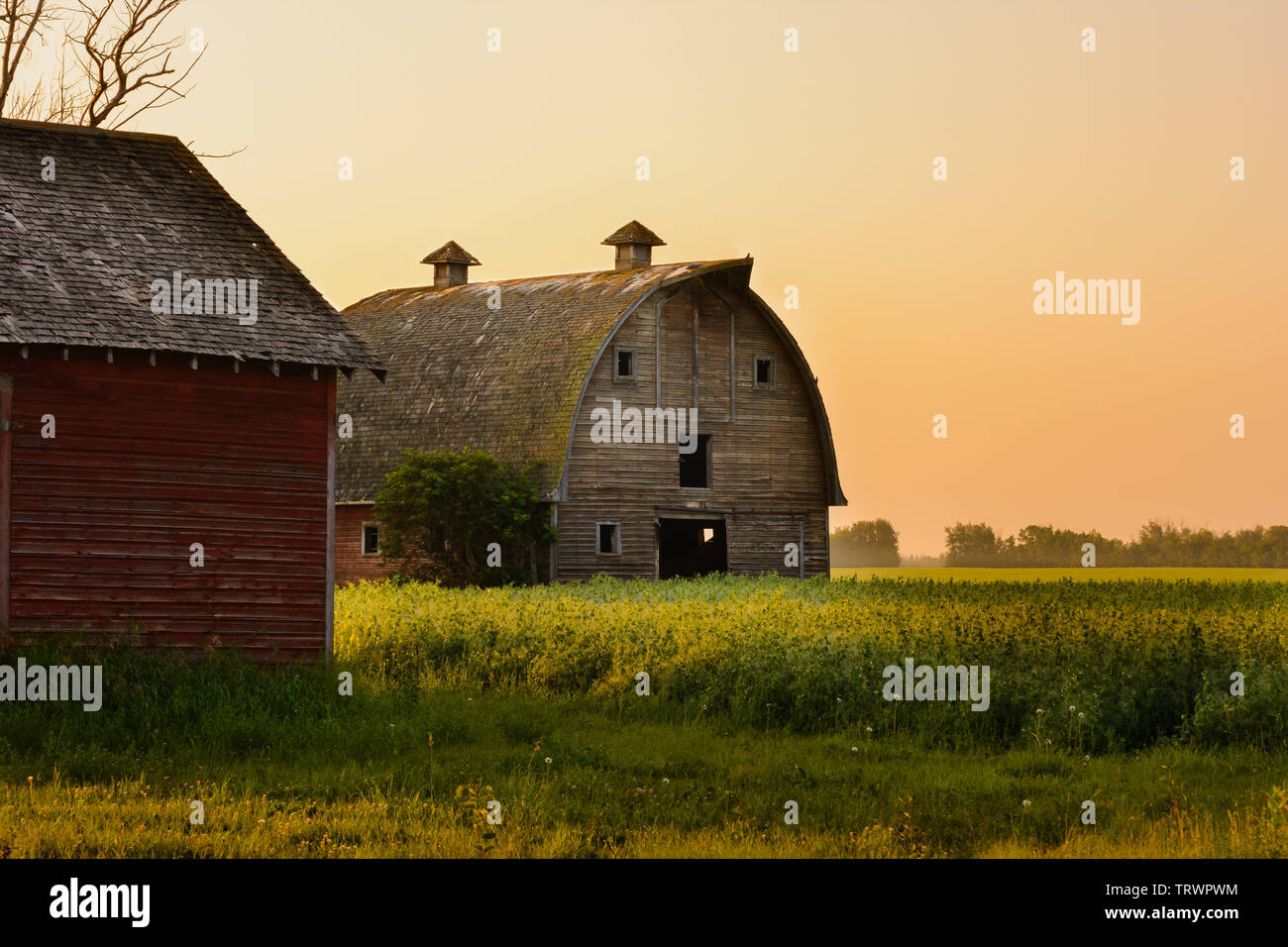 Barn in the fields Stock Photo - Alamy