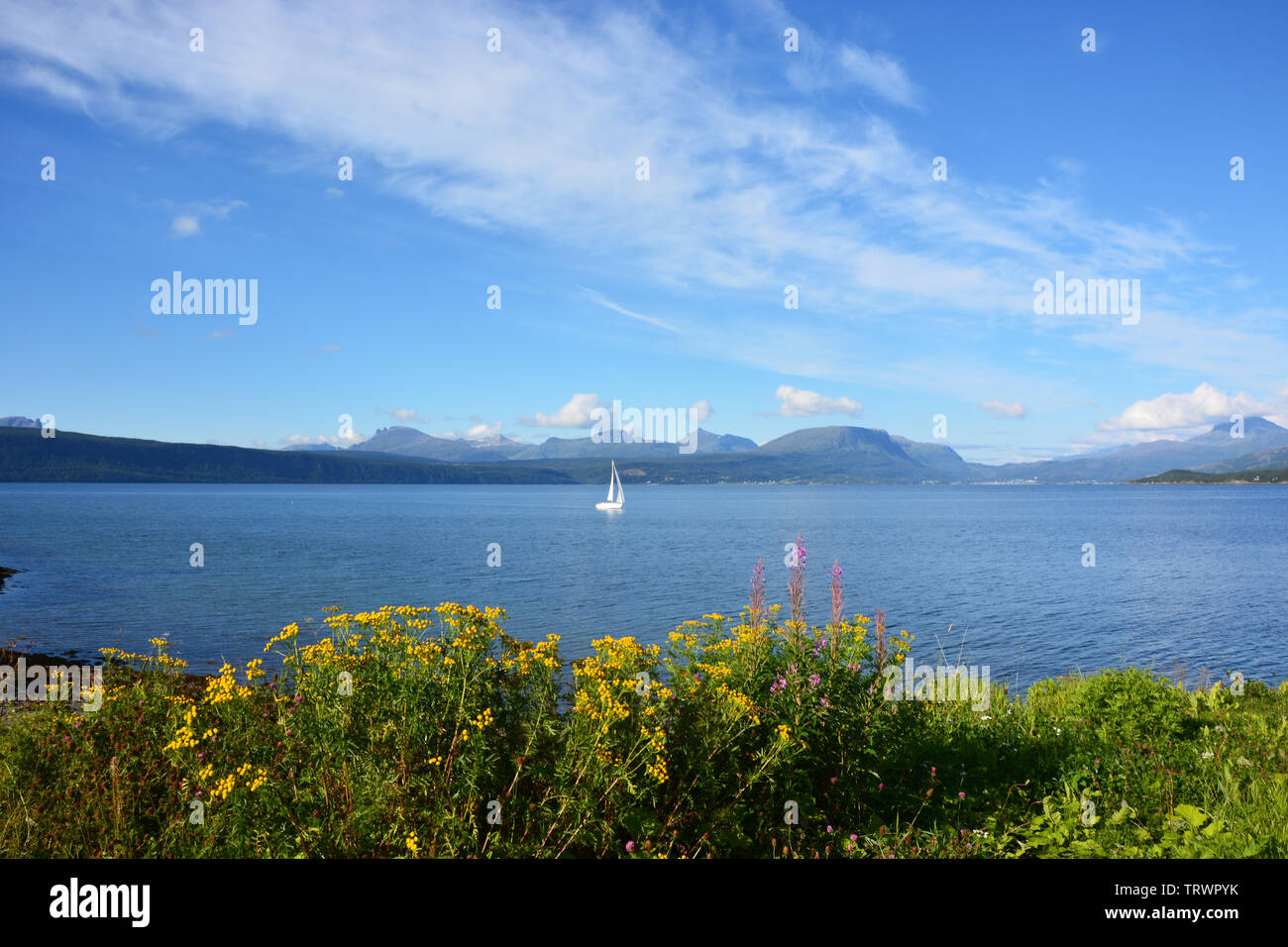 Narvik norway summer hi-res stock photography and images - Alamy