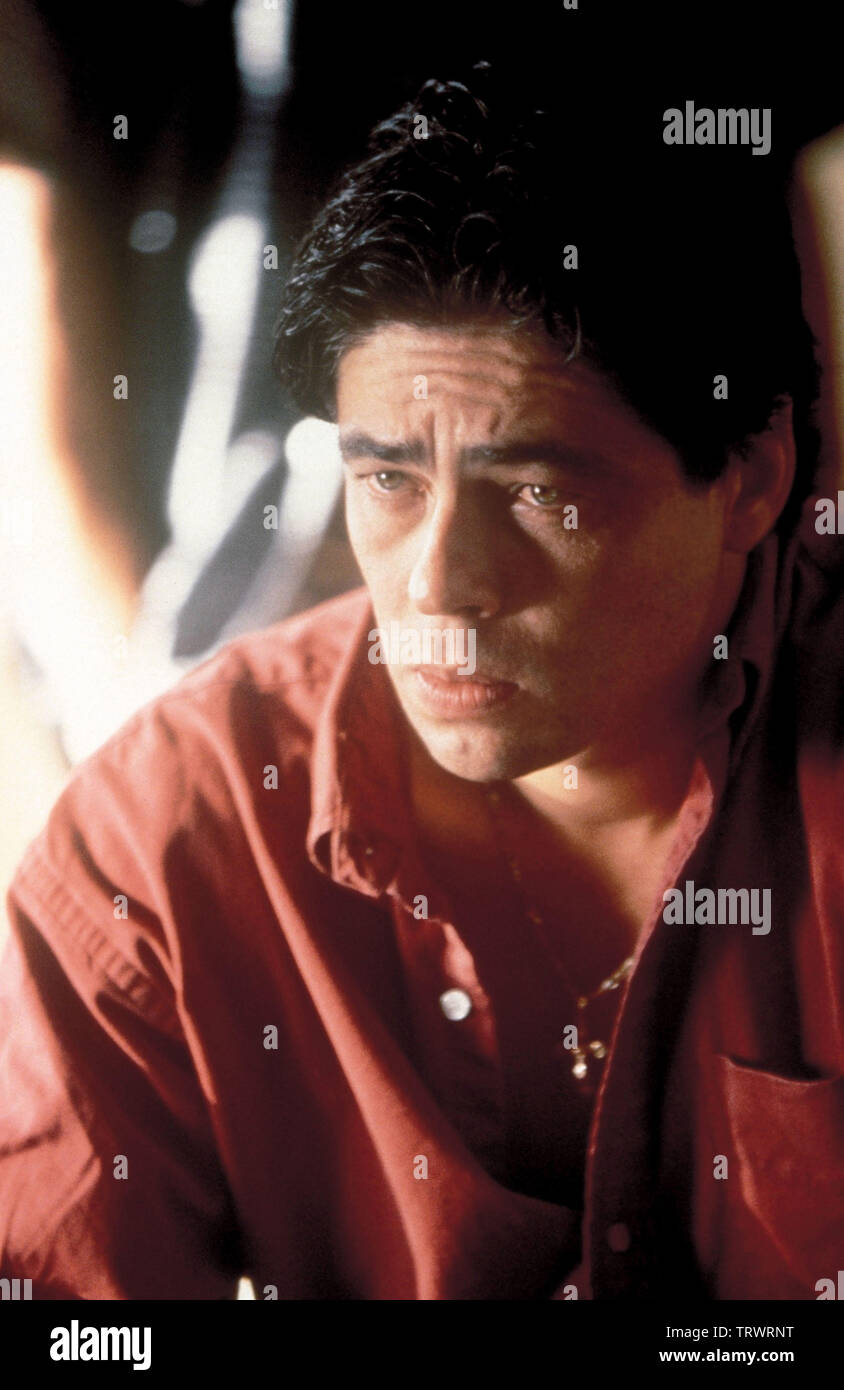 Traffic Benicio Del Toro
