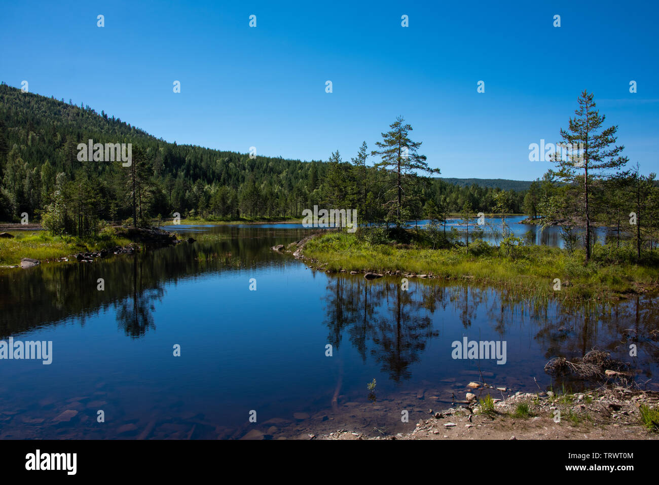 Lake in Eastern Norway / Telemark, Scandinavia Stock Photo - Alamy