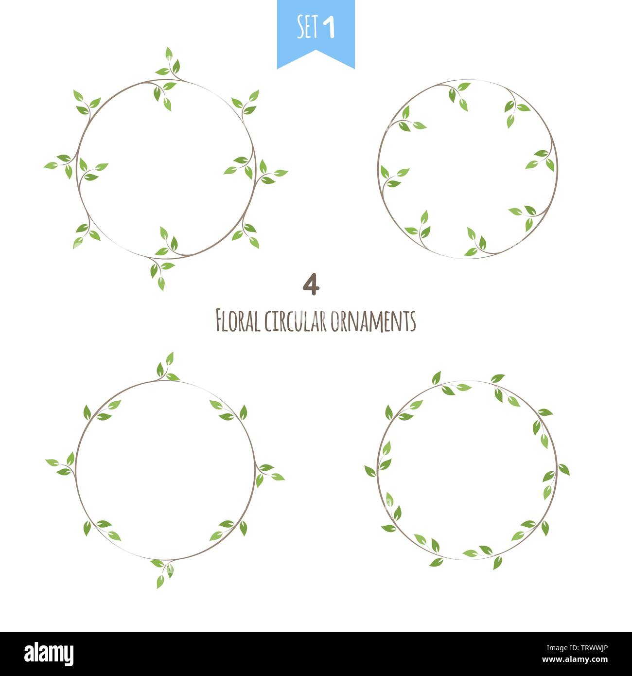 The ivy collection Stock Vector Images - Alamy