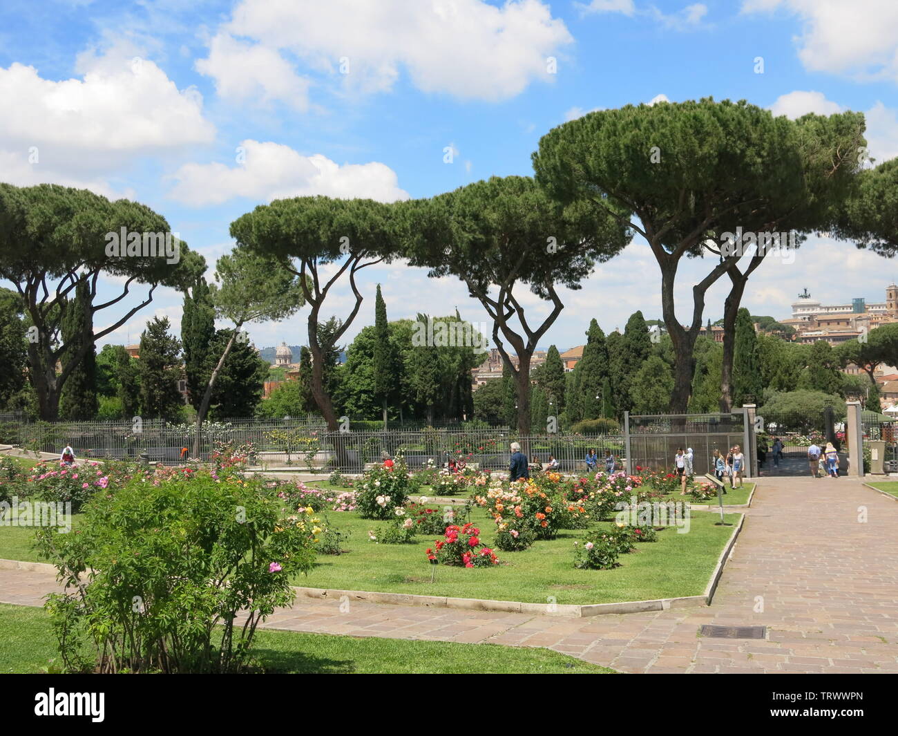 The Rome Rose Garden situated on the Aventine Hill is a colourful ...