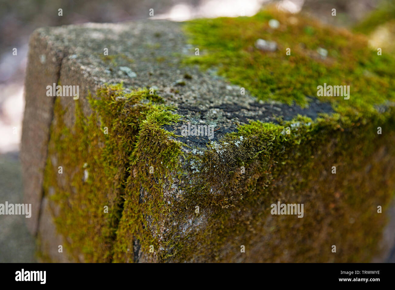 a stone block with moss Stock Photo - Alamy