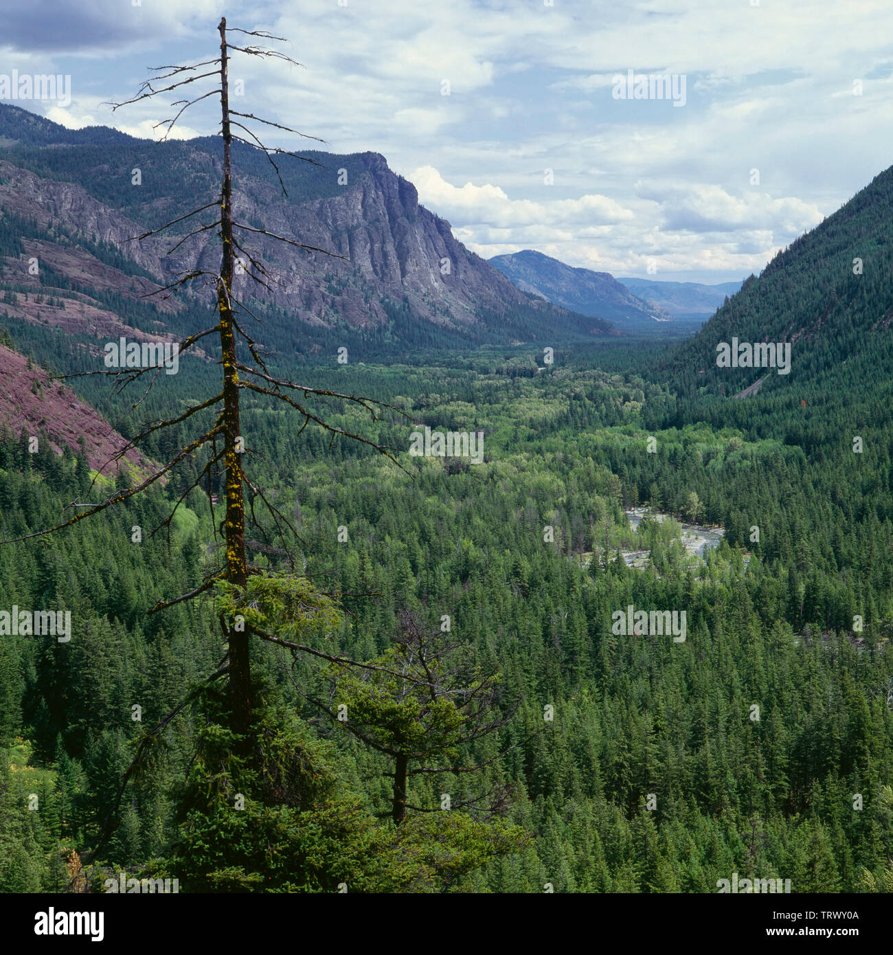 Goat Wall High Resolution Stock Photography and Images - Alamy