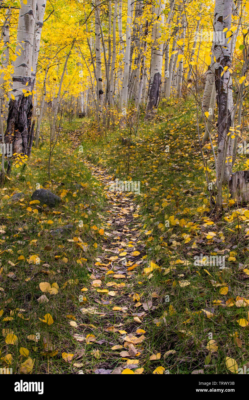 Photographers at photo workshop, Absaroka Ranch, Wyoming, held every ...