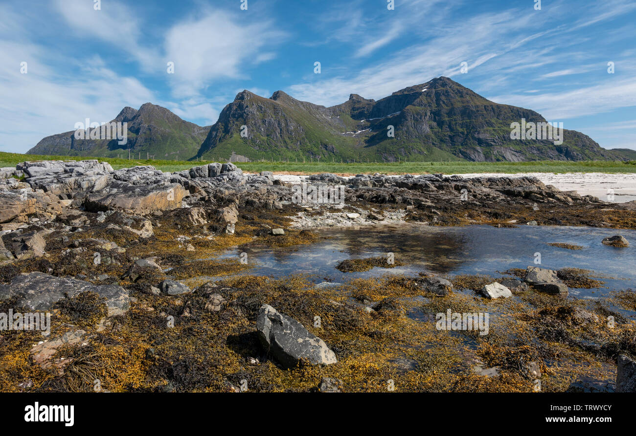Coastal scenery at Flakstad beach, Norway Stock Photo - Alamy