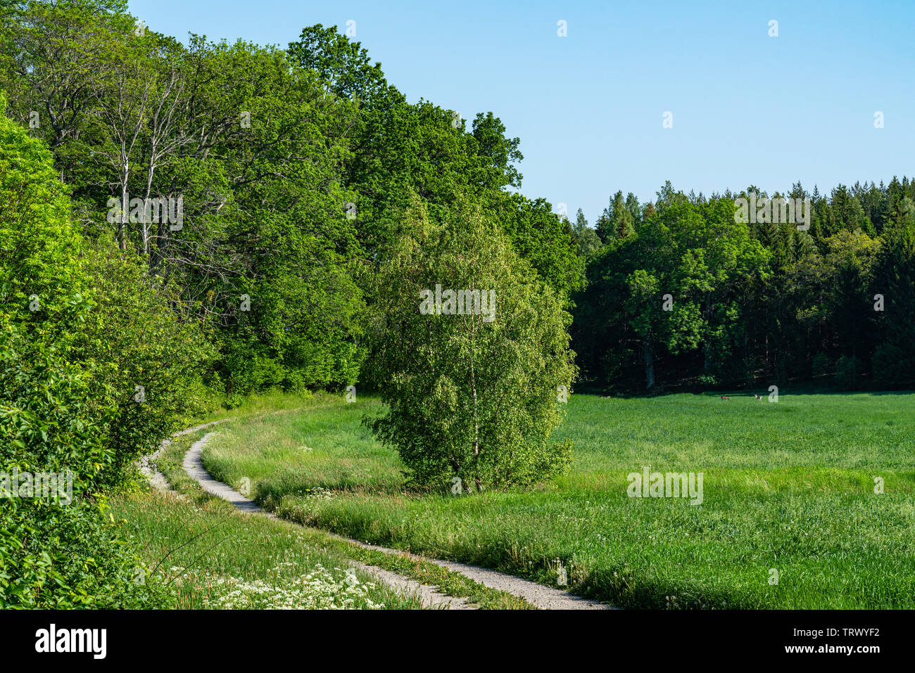 Gravel field hi-res stock photography and images - Alamy