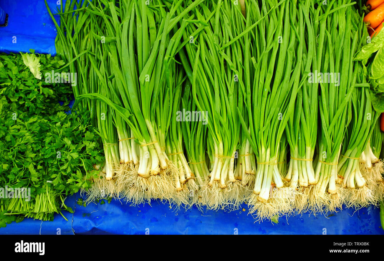 Healthy Green and Fresh Vegetable Leek in Grocery Stock Photo - Alamy