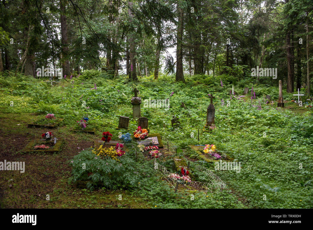 Russian Orthodox cemetery, Sitka, Alaska, USA Stock Photo - Alamy