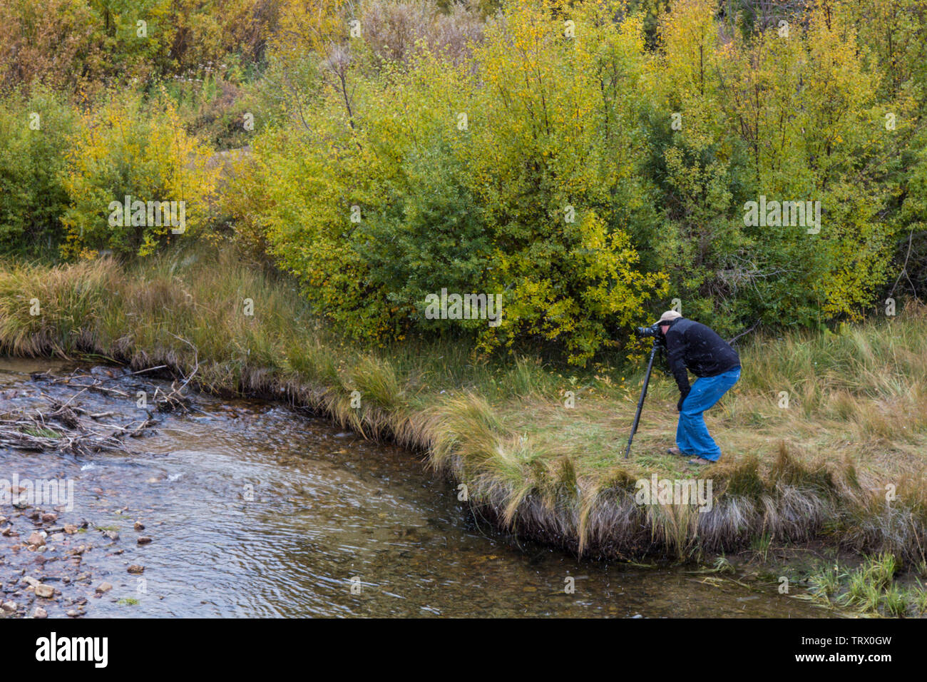 Photographers at photo workshop, Absaroka Ranch, Wyoming, held every ...