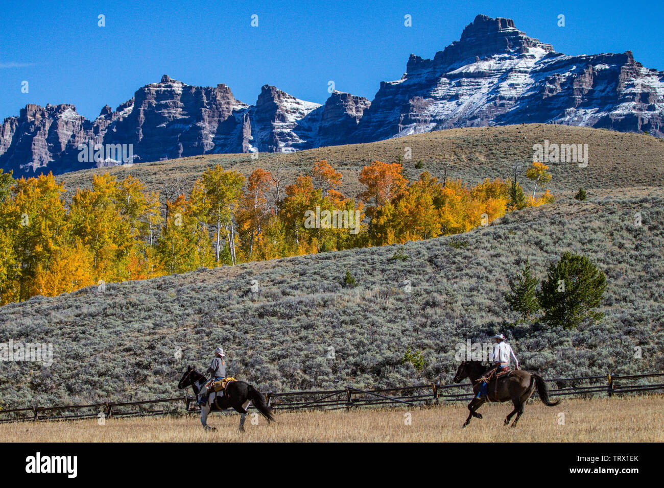 Rural ranch workshop hi-res stock photography and images - Alamy