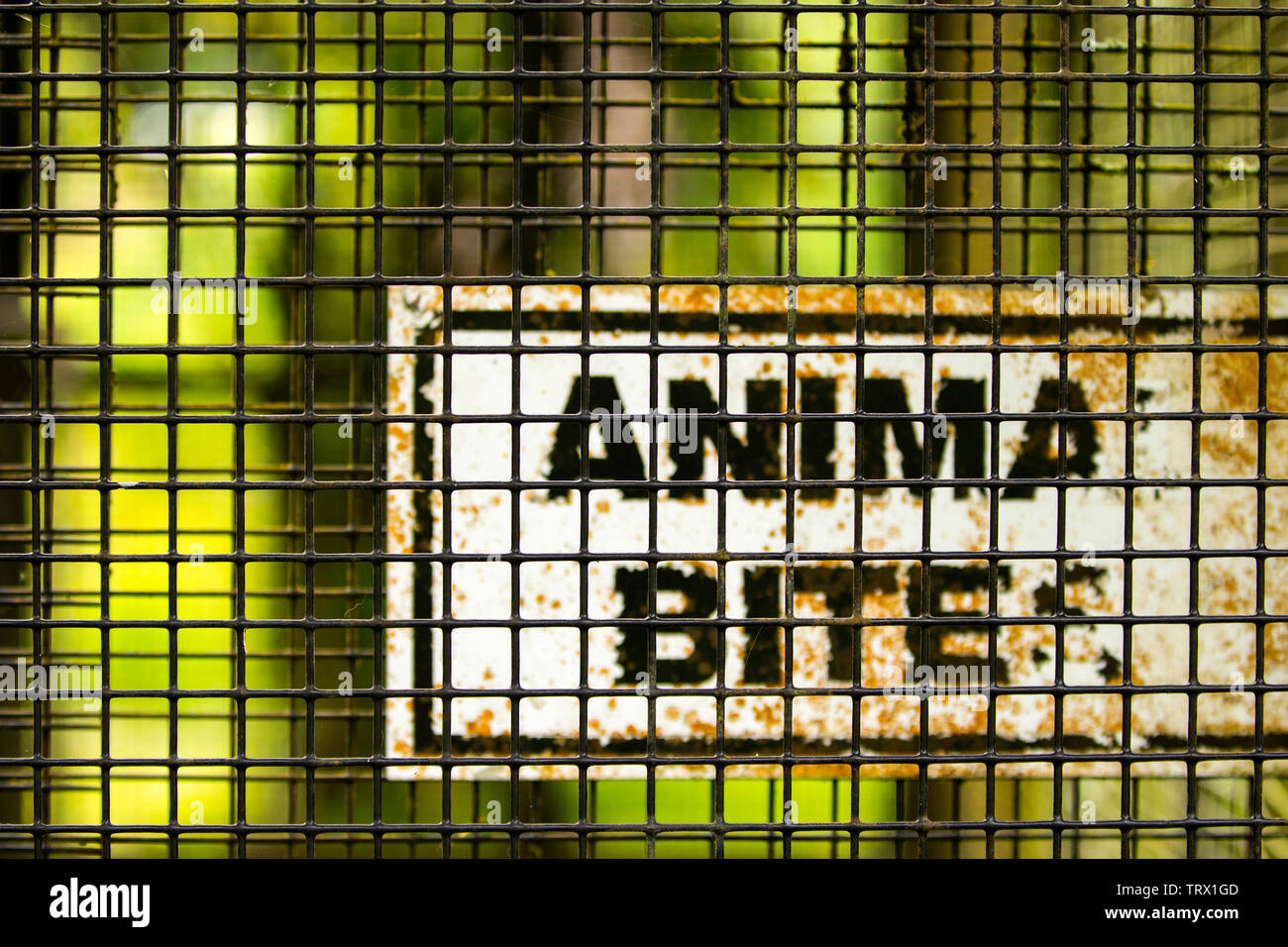 A sign on the cage of a zoo exhibit stating, "Animal Bites Stock Photo ...