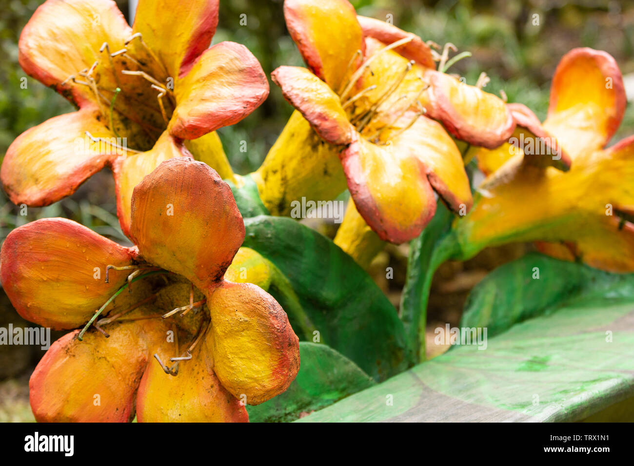 Panaewa zoo hi-res stock photography and images - Alamy