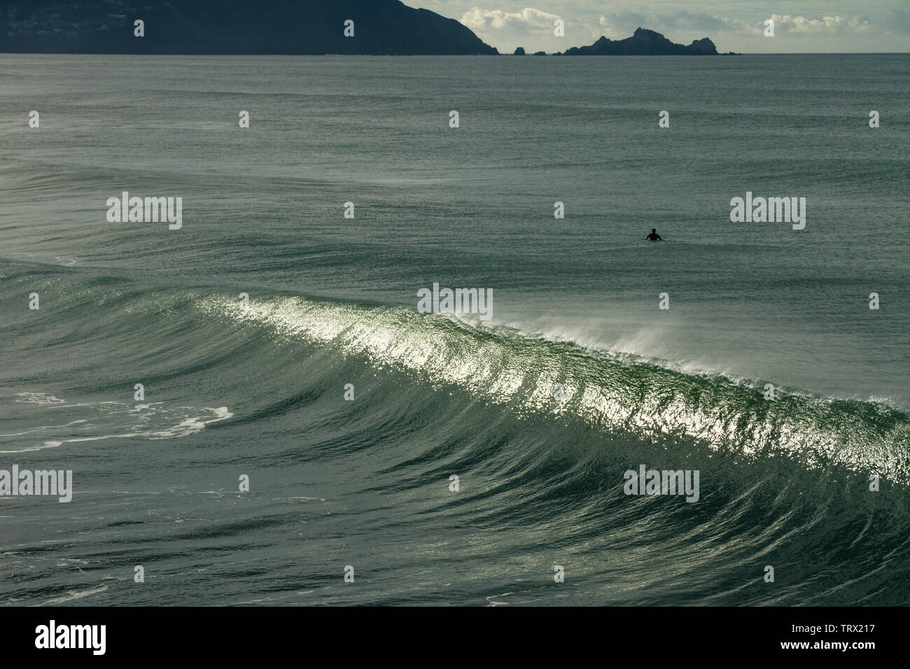 The wait for the perfect wave a surfer waiting Stock Photo - Alamy