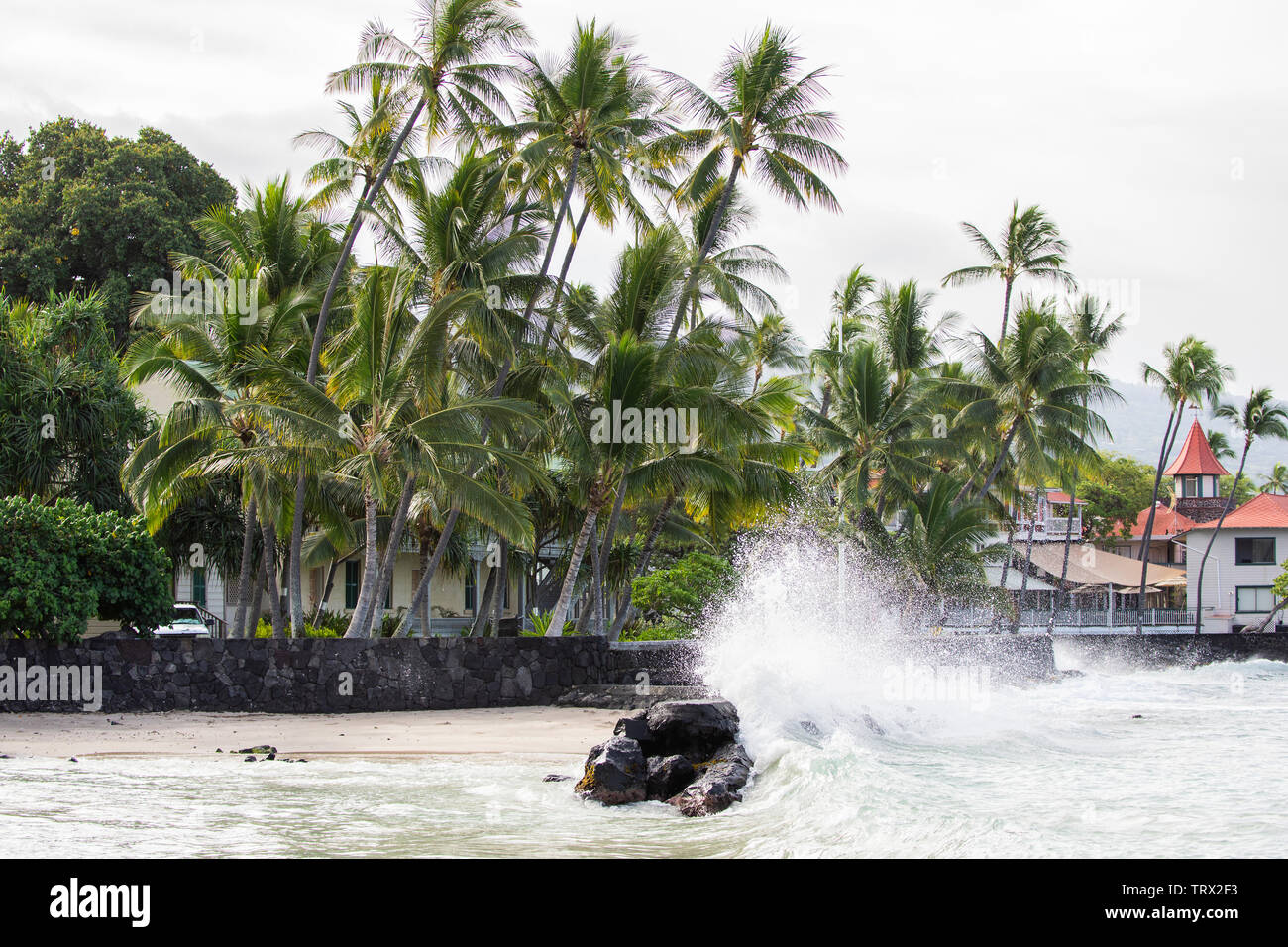 Kona state beach hi-res stock photography and images - Alamy