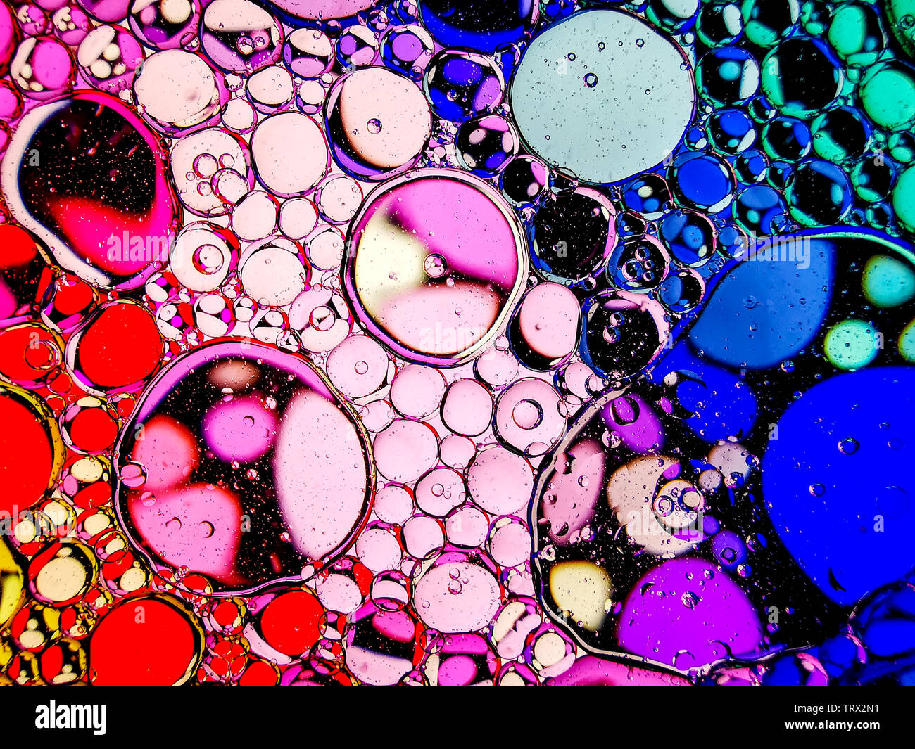 colorful rainbow spectrum oil bubbles macro abstract textures Stock ...