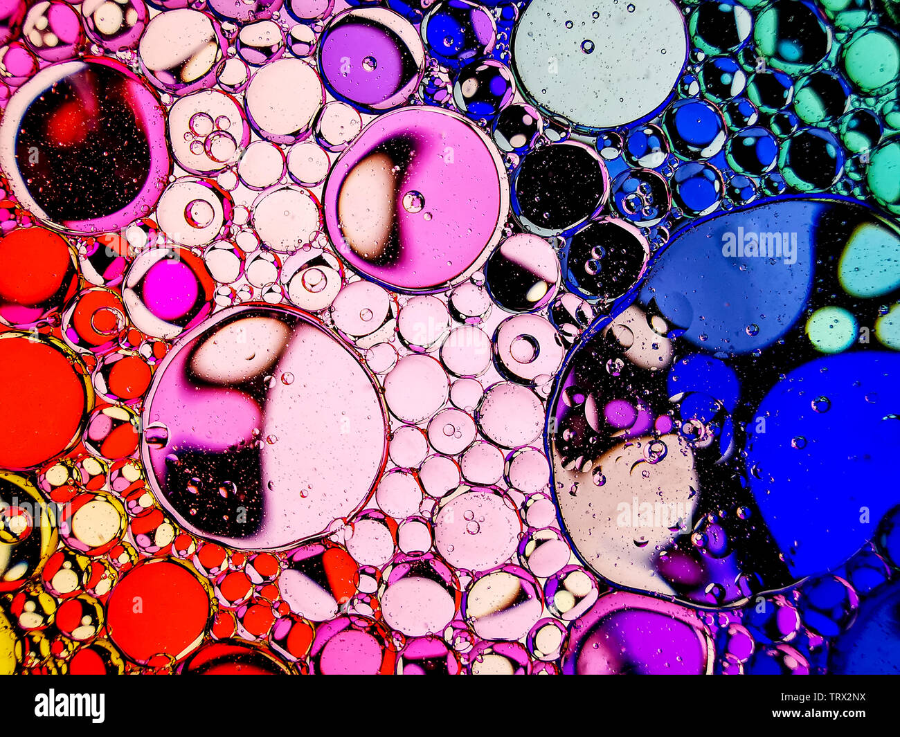colorful rainbow spectrum oil bubbles macro abstract textures Stock ...
