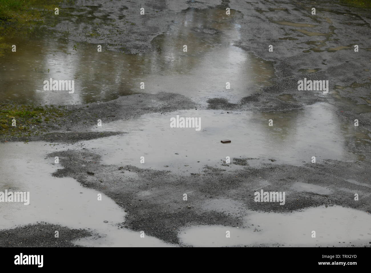 pouring rain - raindrops making water puddles Stock Photo - Alamy