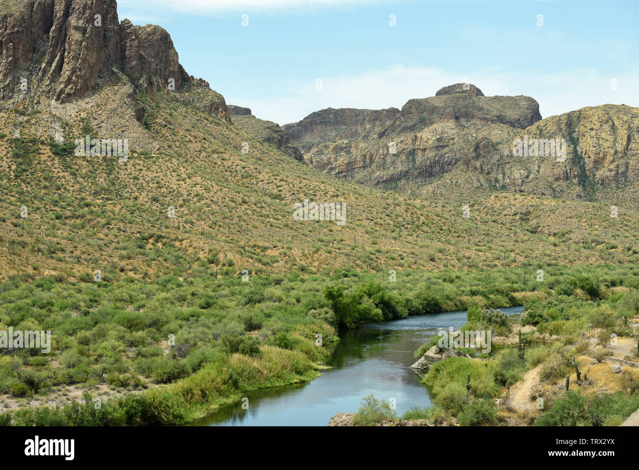 Usa arizona phoenix desert hi-res stock photography and images - Alamy