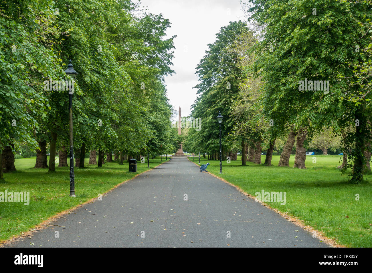 Avenue of Trees,Sefton Park,Liverpool,Springtime,England Stock Photo ...