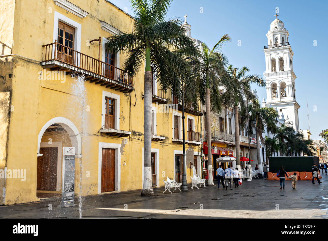 The Cathedral of Veracruz towers above the palm trees lining the Plaza ...