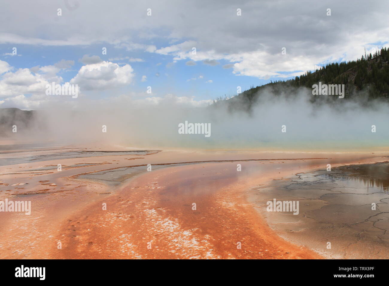 Yellowstone Road High Resolution Stock Photography and Images - Alamy