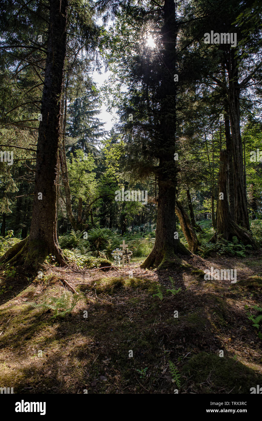 Russian Orthodox cemetery, Sitka, Alaska, USA Stock Photo - Alamy