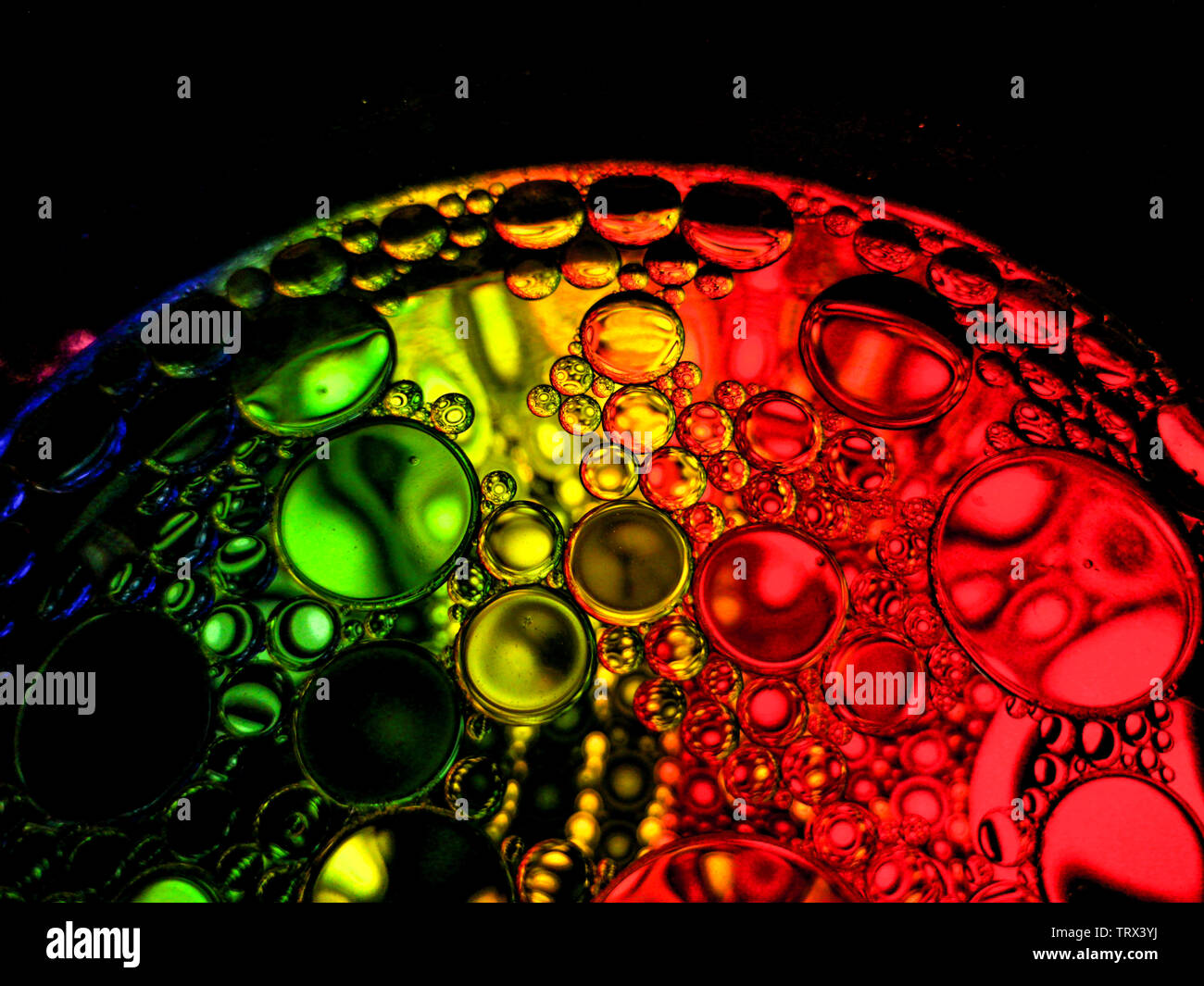 colorful rainbow spectrum oil bubbles macro abstract textures Stock ...