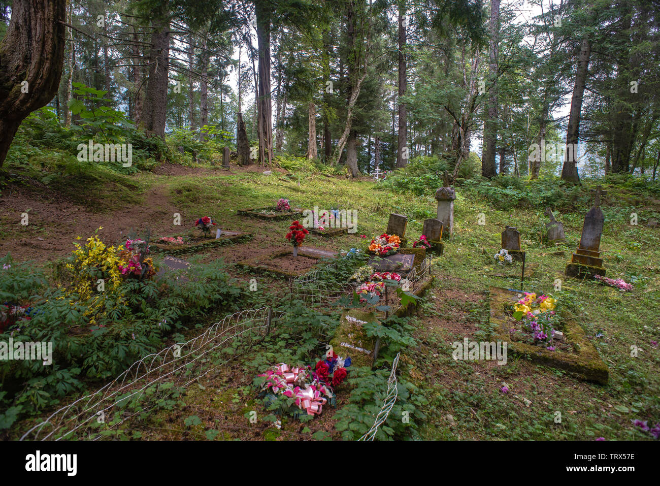 Russian orthodox cemetery hi-res stock photography and images - Alamy