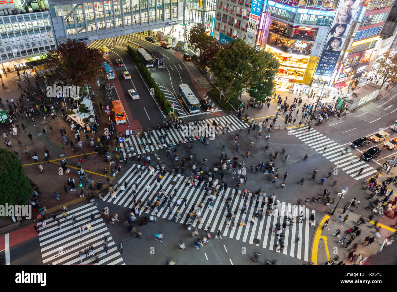 Shibuya Crossing, Tokyo, Japan Stock Photo - Alamy