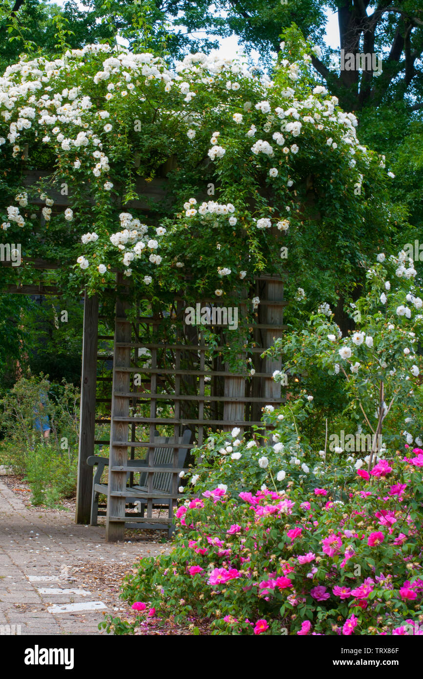Park of Roses, Columbus, Ohio Stock Photo - Alamy