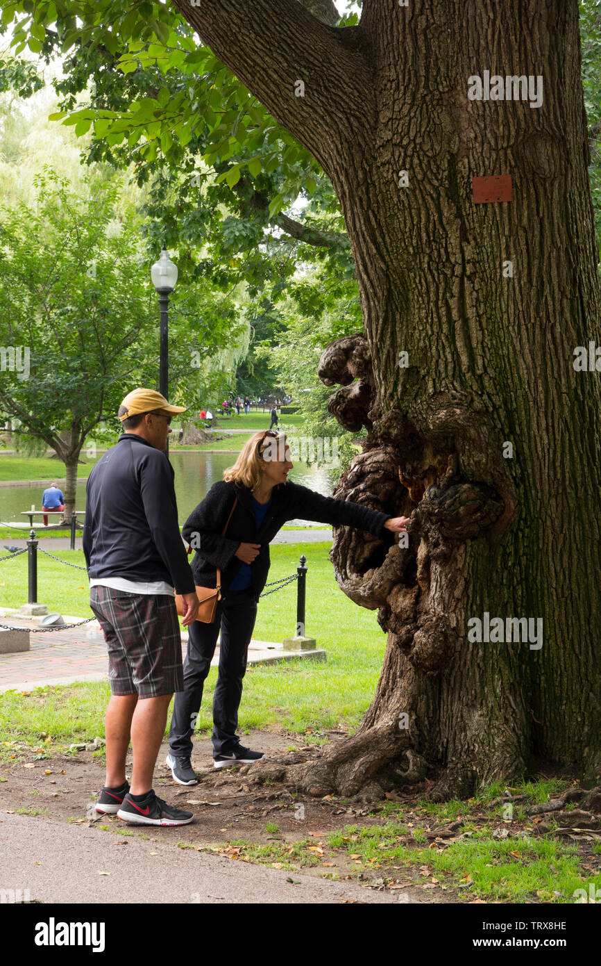 Boston public garden sign hi-res stock photography and images - Alamy