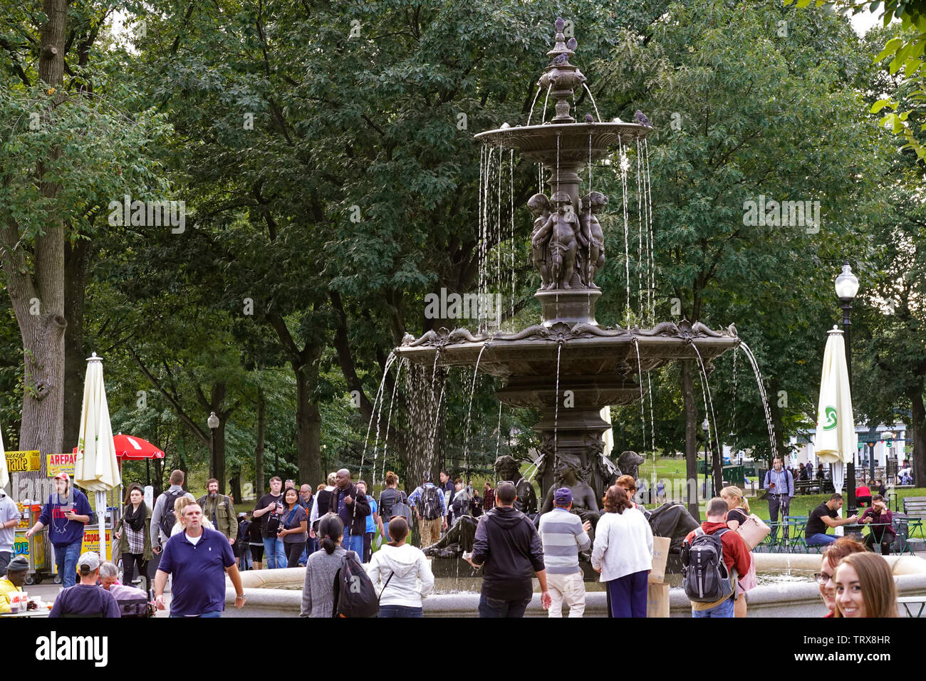 Boston Public Garden MA Stock Photo - Alamy