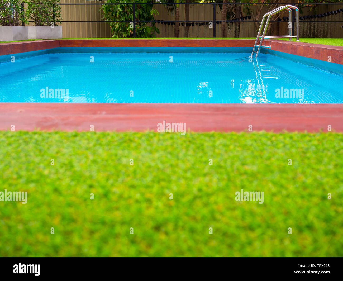 Blurred green grass on outdoor swimming pool background focus with copy ...