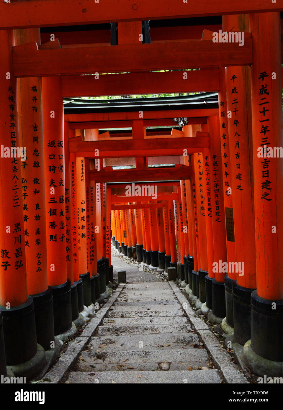 Red Tori Gate at Fushimi Inari Shrine in Kyoto, Japan Stock Photo - Alamy