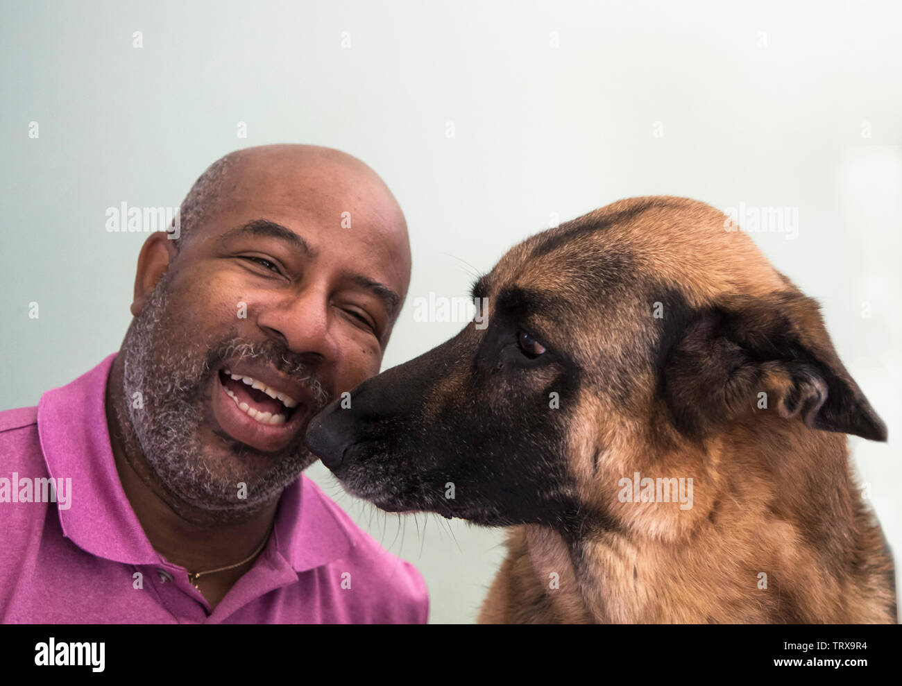 Cute moment between an African American man and his German Shepherd dog ...
