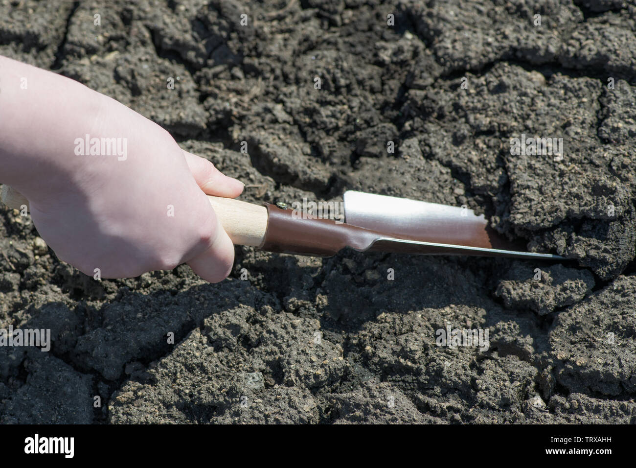 Black woman digging garden hi-res stock photography and images - Alamy