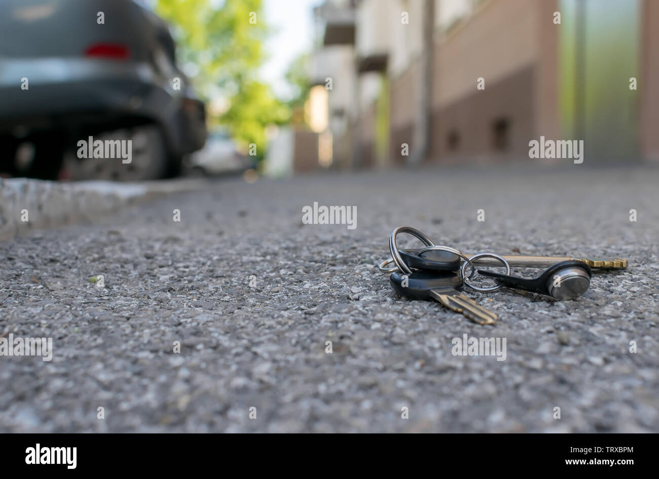 The lost bunch of keys, lies on the asphalted sidewalk of the road ...