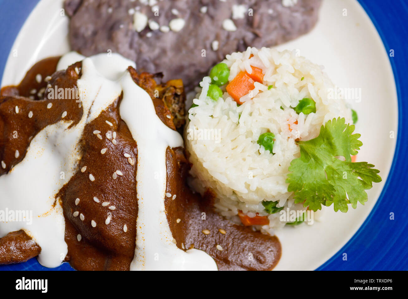 Mexican Mole Con Arroz